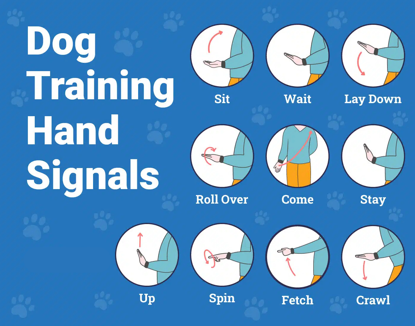 How to Teach Dog Tricks: A Step-by-Step Training Guide - Happy Paws Spot